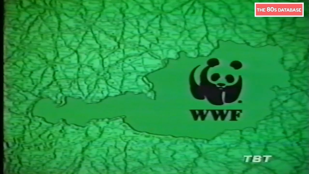 SPOT WWF - 1989 - THE 80s DATABASE - YouTube