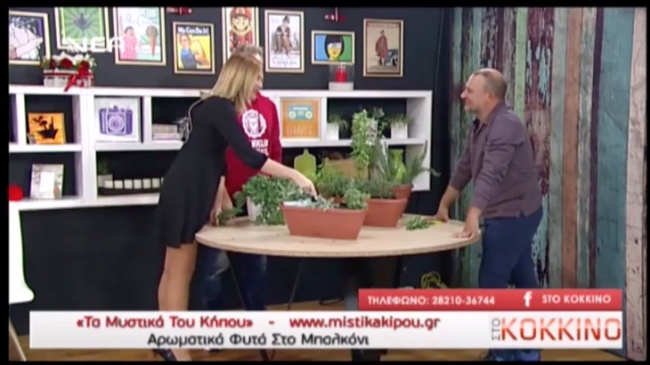 Αρωματικά Φυτά και Βότανα σε Γλάστρα στο Μπαλκόνι - Ο Κώστας ...