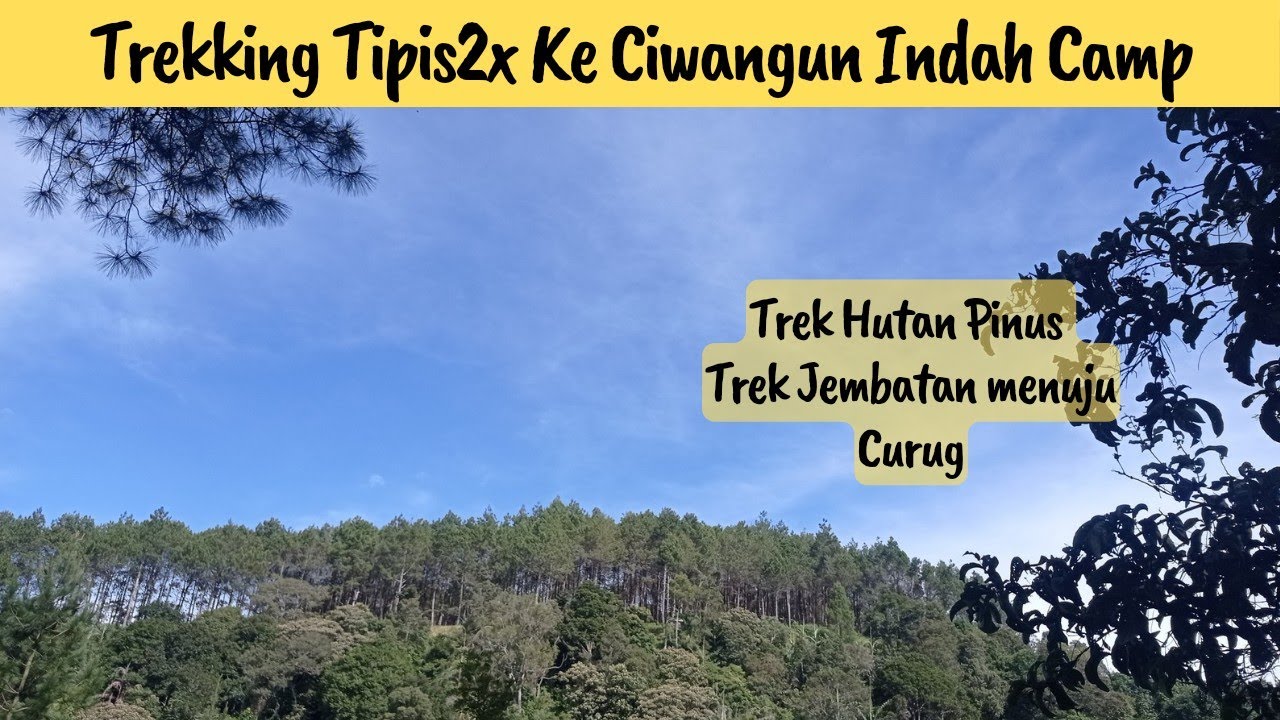 Trekking Hutan Pinus di Ciwangun Indah Camp Kab.Bandung Barat - YouTube