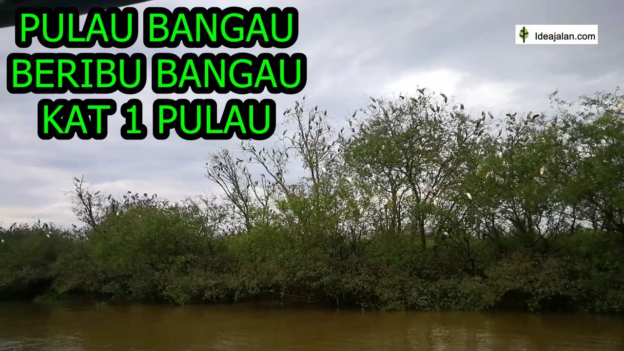 Pulau Bangau, Teluk Intan, Tempat Menarik Perak - YouTube