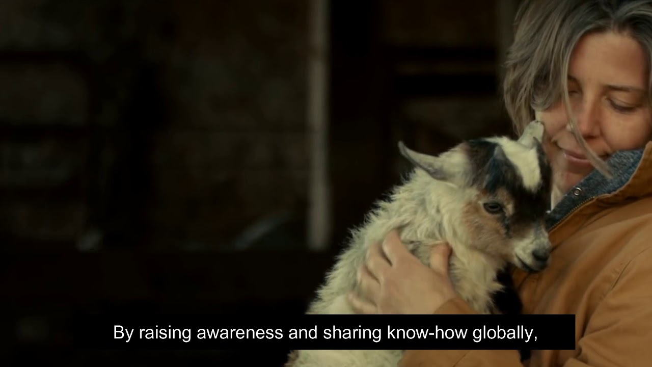 Universal Comfortable Income (UCI) - Trailer - YouTube