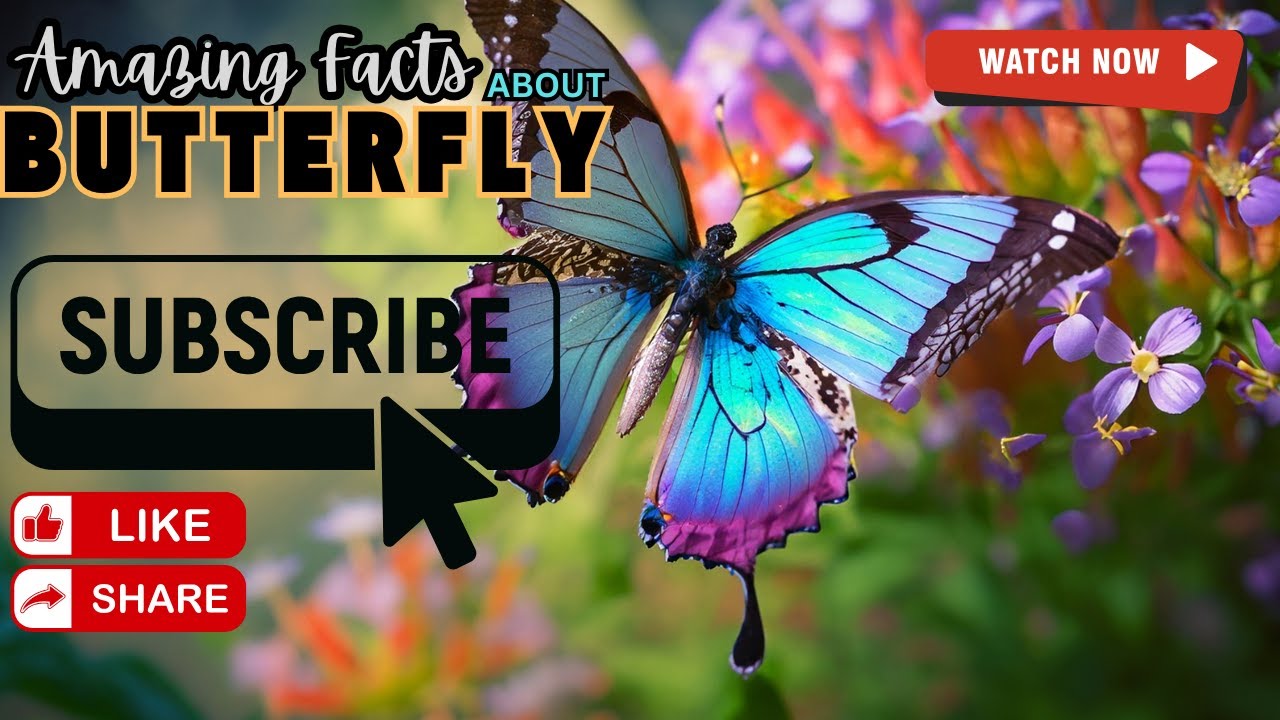 Butterfly EXPERTS Don't Want You to Know These Amazing Facts! - YouTube