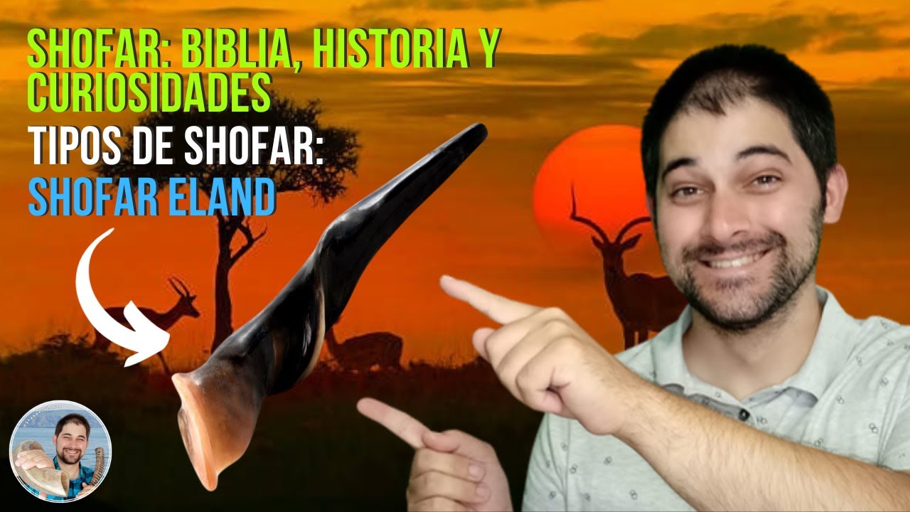 El shofar de Eland🦌: El antílope más grande del mundo 🌍 | Tipos de ...