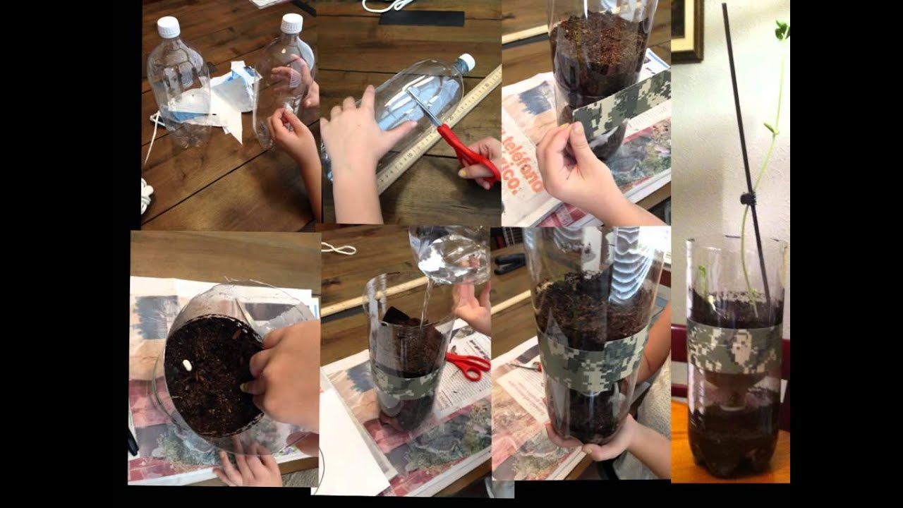 Eco-column Guide - YouTube