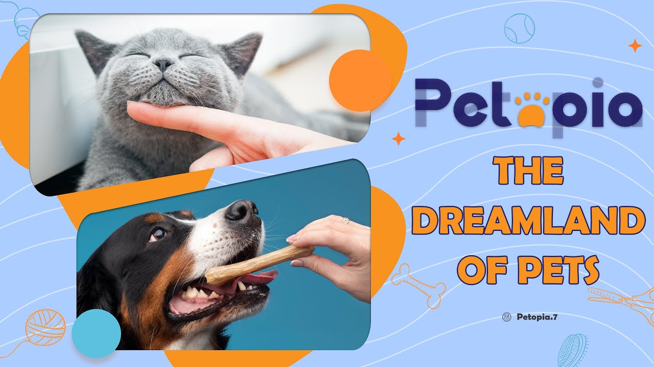 Petopia the dreamland of pet - YouTube