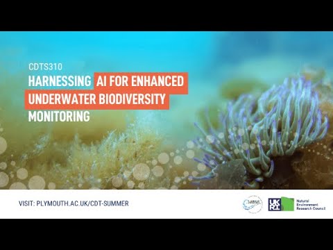 MEET THE TEAM - CDT SuMMeR: Project CDTS310 - YouTube