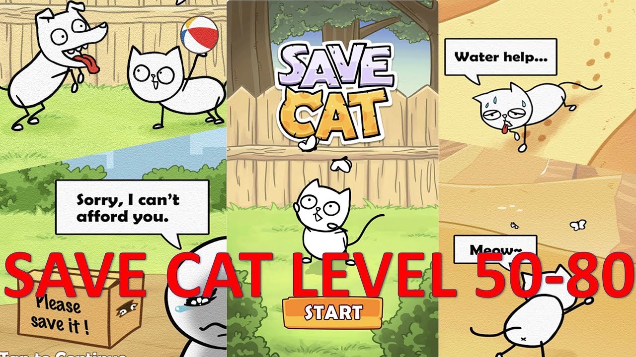 Game Save Cat Giải Cứu Bé Mèo Giúp Mèo Uống Nước level 50 Đến 80 - YouTube