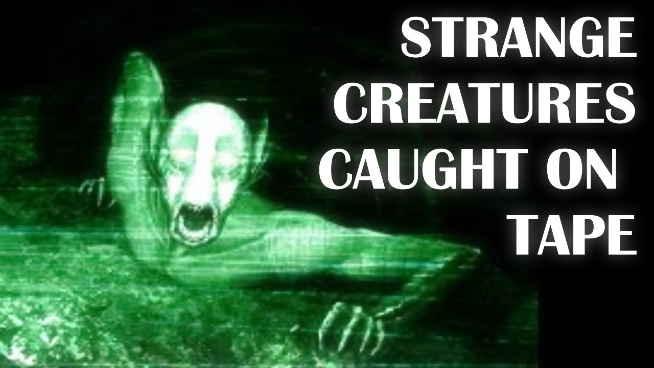 Strange Creatures CAUGHT ON VIDEO In Real Life - YouTube