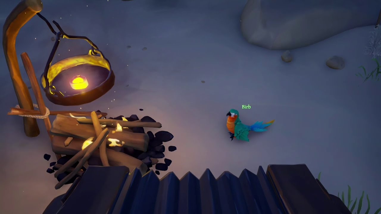 Parrot Vibing by the Campfire in Sea of Theives - YouTube