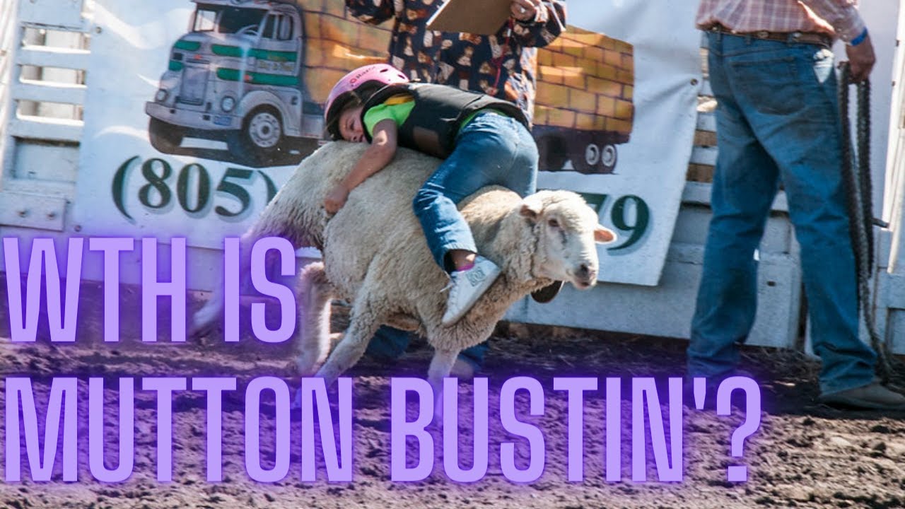 What is Mutton Bustin'? CBS Denver News Report (2017) - PETITION ...