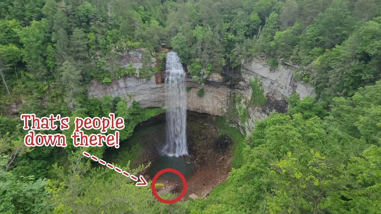 Hiking to the bottom of Fall Creek Falls - YouTube