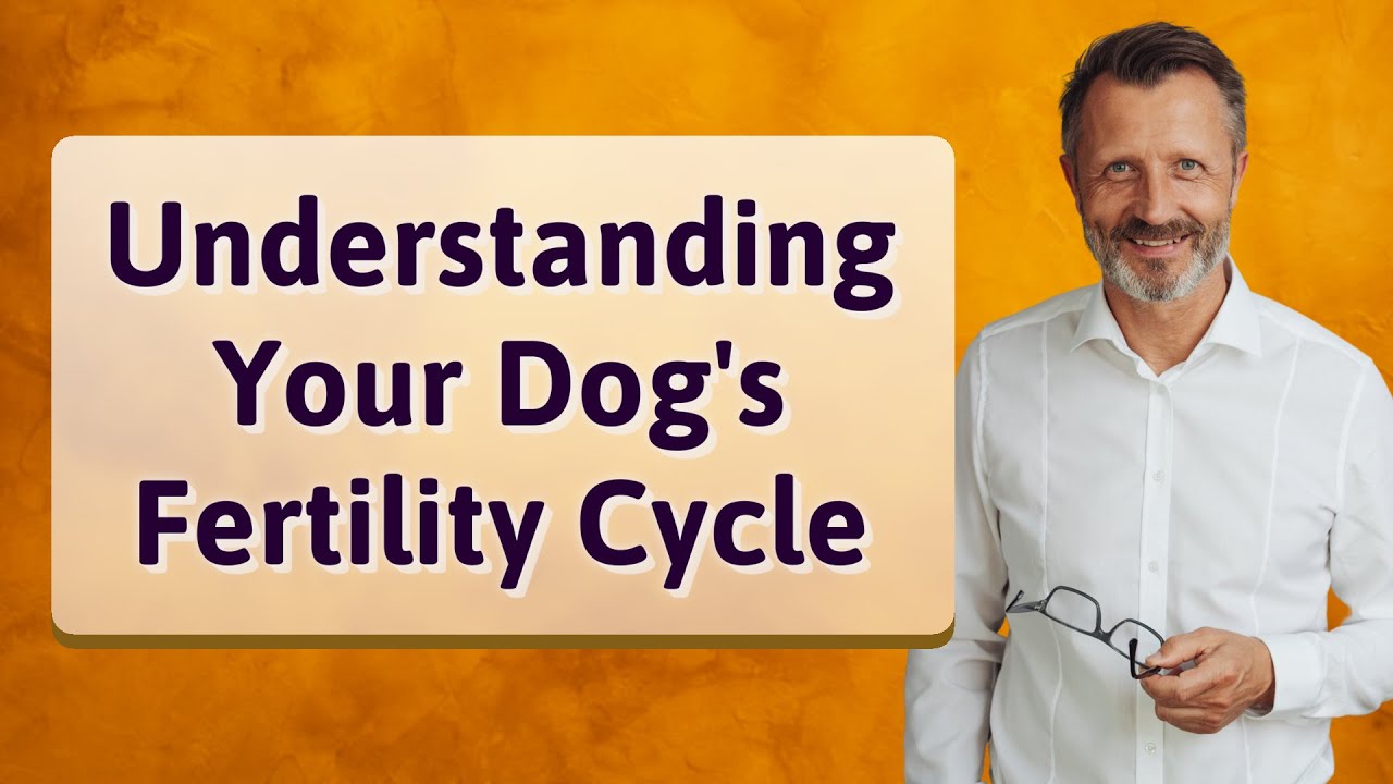 Understanding Your Dog's Fertility Cycle - YouTube
