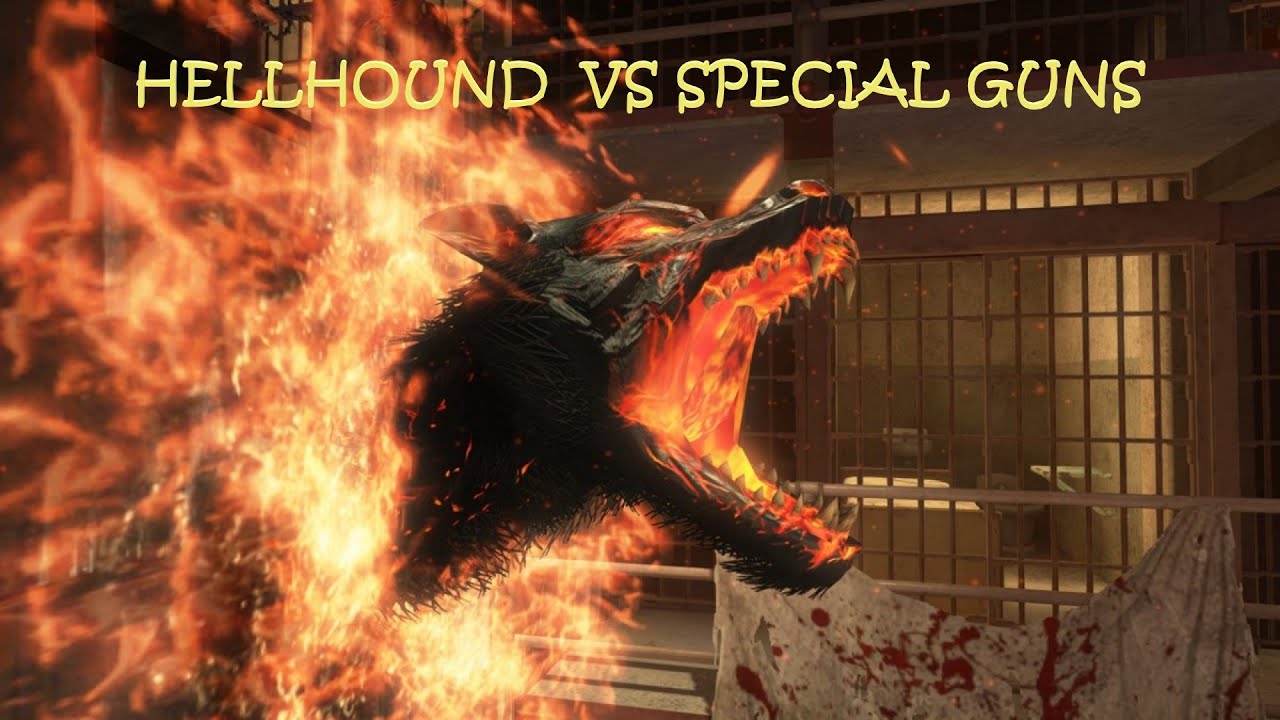 HELLHOUND IS EASY TO BEAT?!?!|Call of Duty mobile|BATTLE ROYALE - YouTube