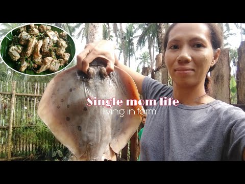 I cooked Adobong pagi(stingray)for lunch|Countryside life Siargao ...