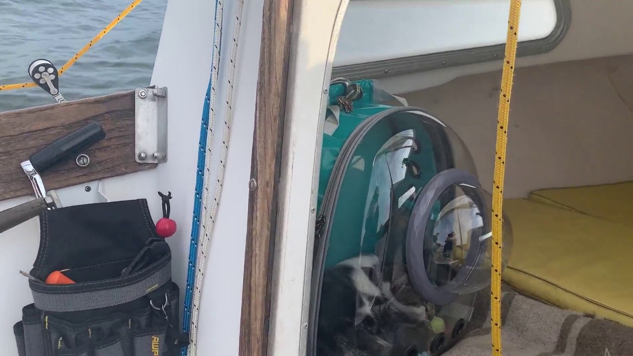 Single line jiffy reef on Gulf Coast 18 - YouTube