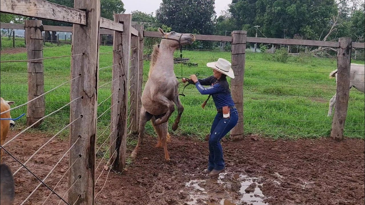 DOMANDO POTRO XUCRO!! 🤯 - YouTube