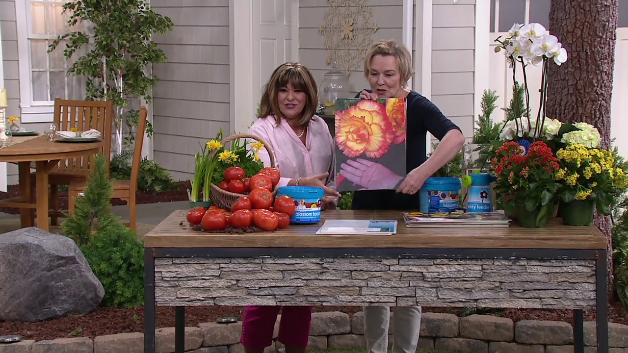 Richard Jackson's Blossom Booster Plant Food 4 lbs. on QVC - YouTube