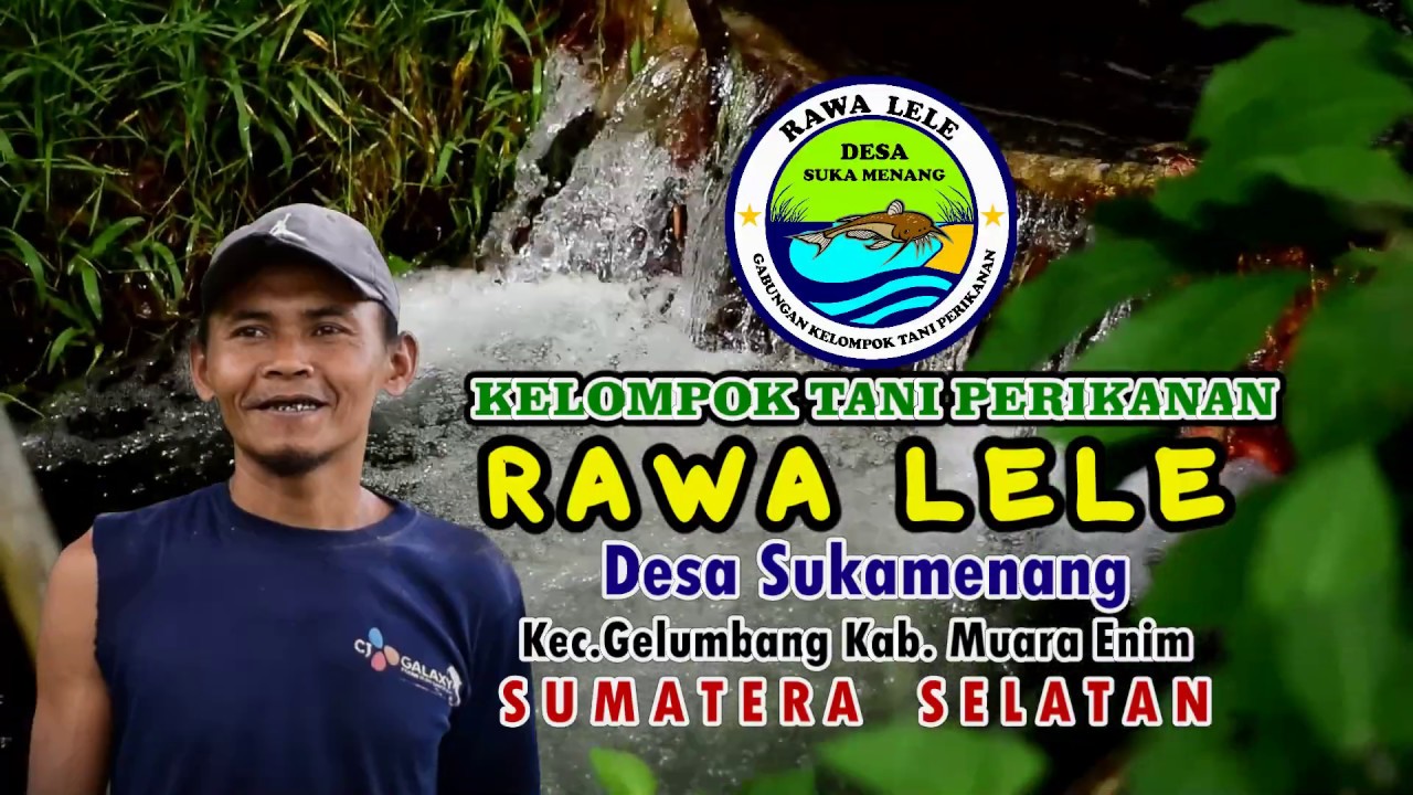 Rawa Lele Desa Sukamenang 2 - YouTube