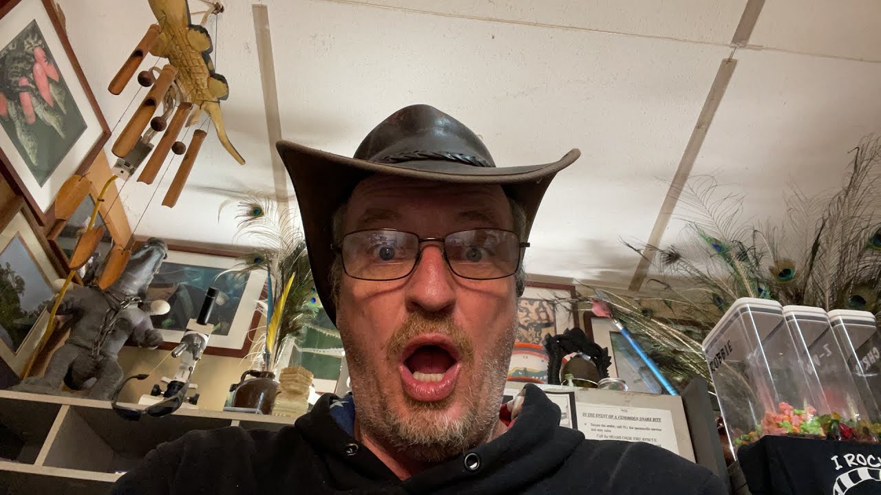 Get Swamped part 2 - YouTube