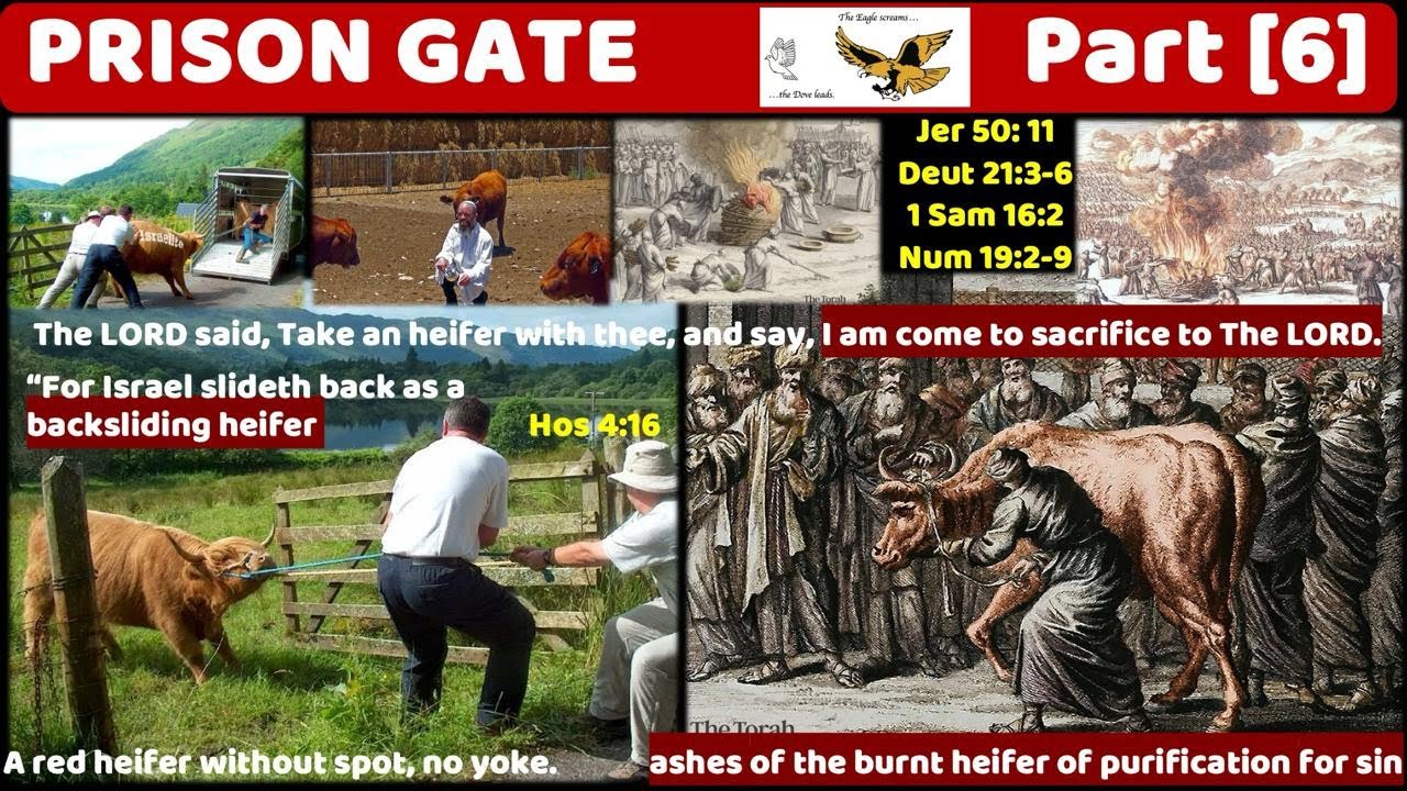 Prison Gate (6) : RETURN, thou backsliding ISRAEL, saith THE LORD - YouTube