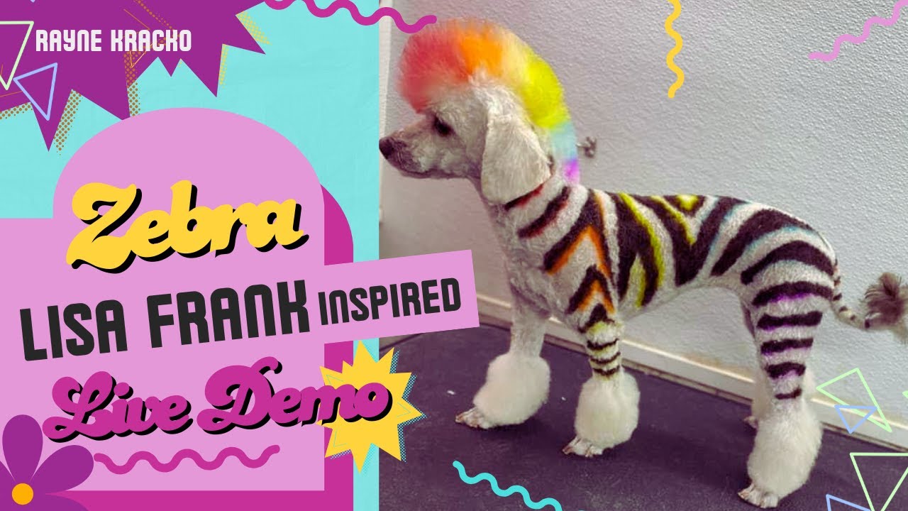 Lisa Frank–Inspired Zebra Print Creative Dog Grooming Live Tutorial ...