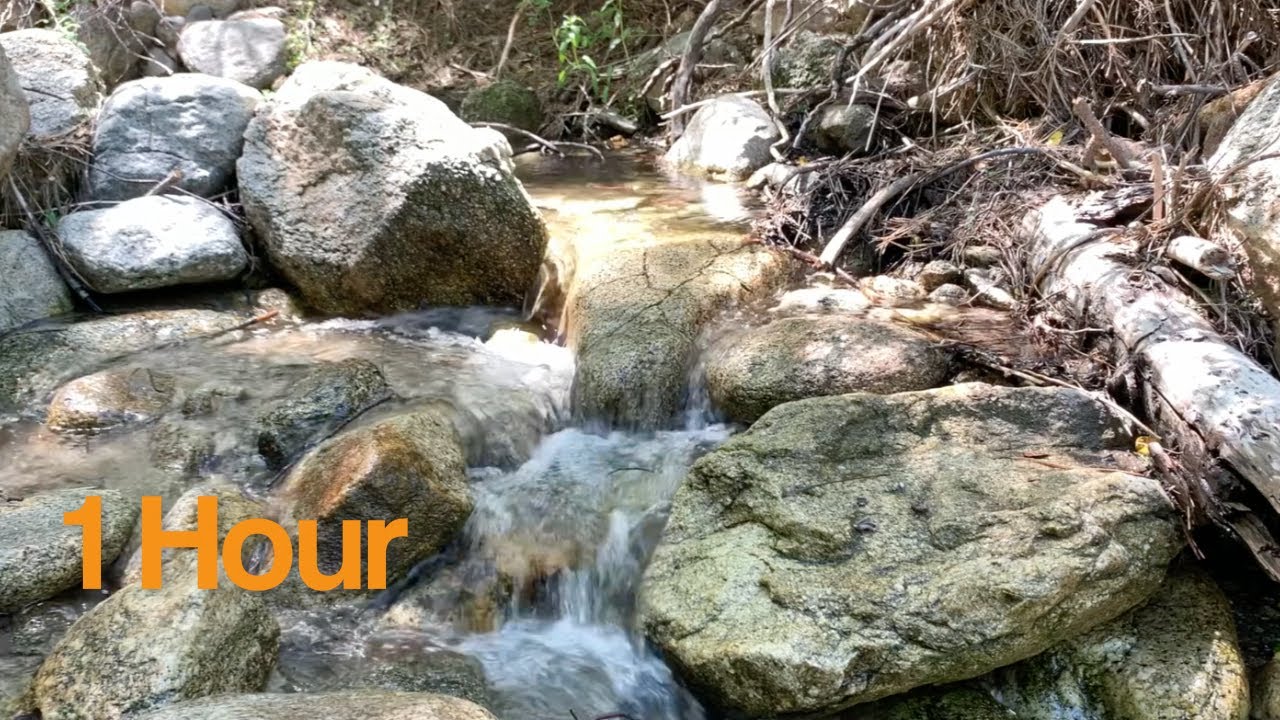 Mountain River Water Stream 1 Hour - YouTube