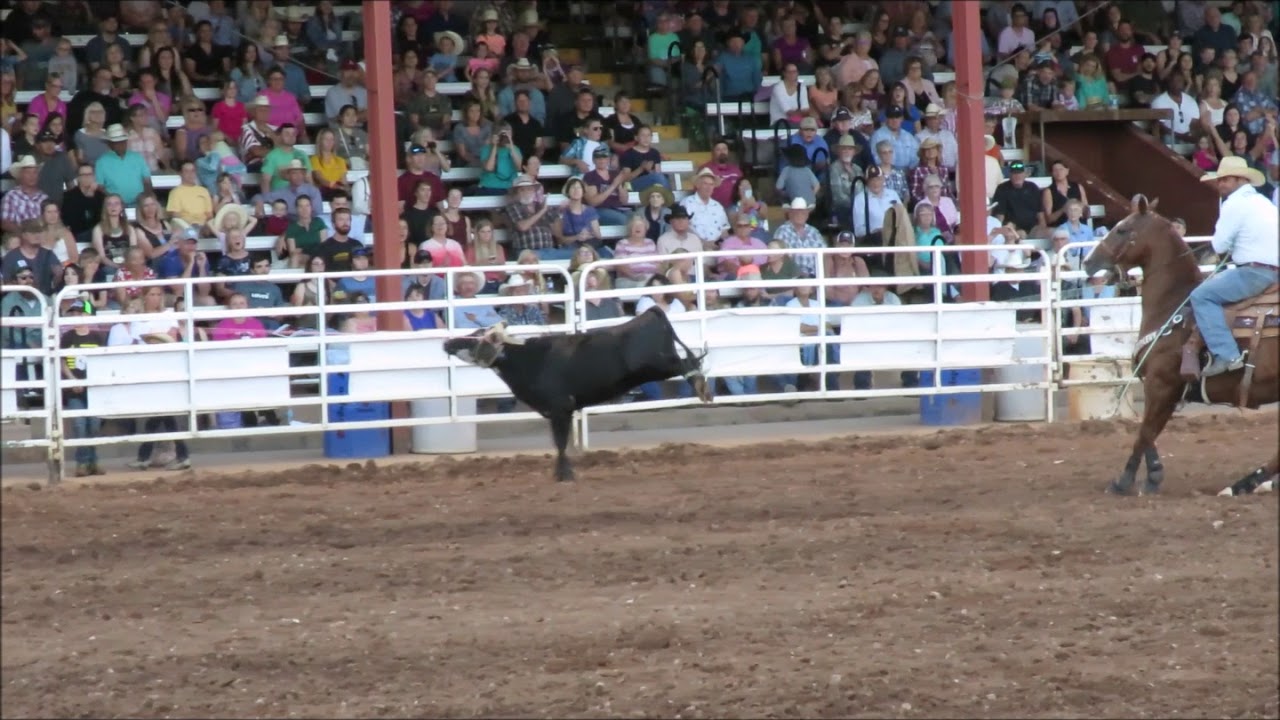 Brock Hansen And Ryan Motes Team Roping At Laramie Jubilee Days 2018 ...