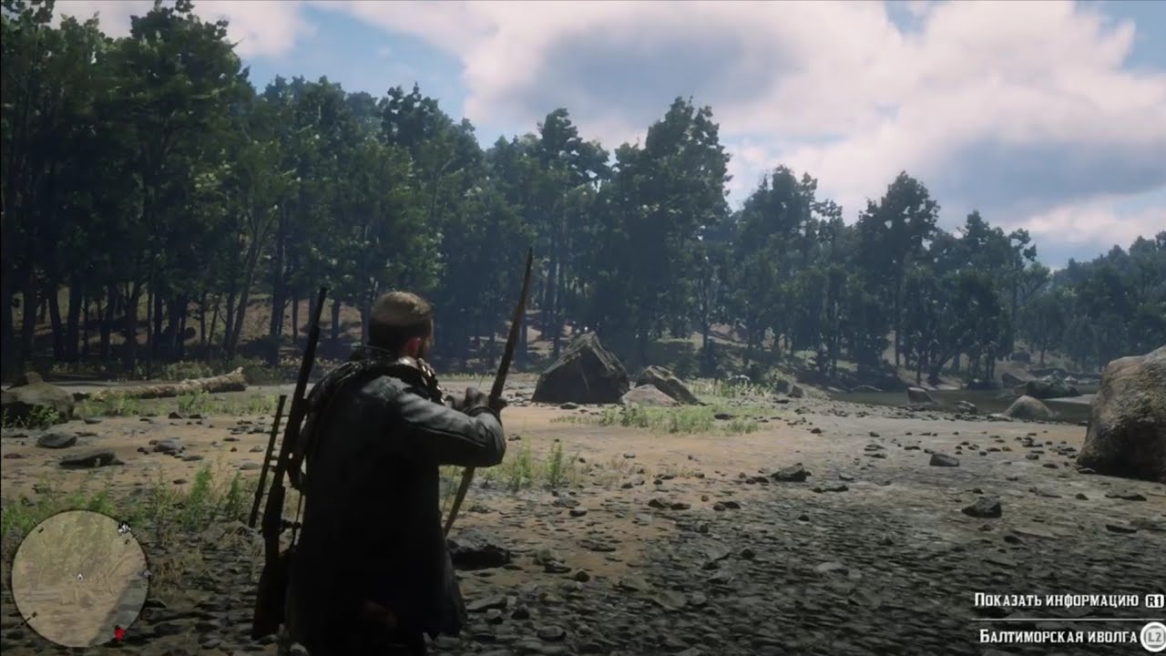 Балтиморская иволга (baltimore oriole) Red Dead Redemption 2 - YouTube