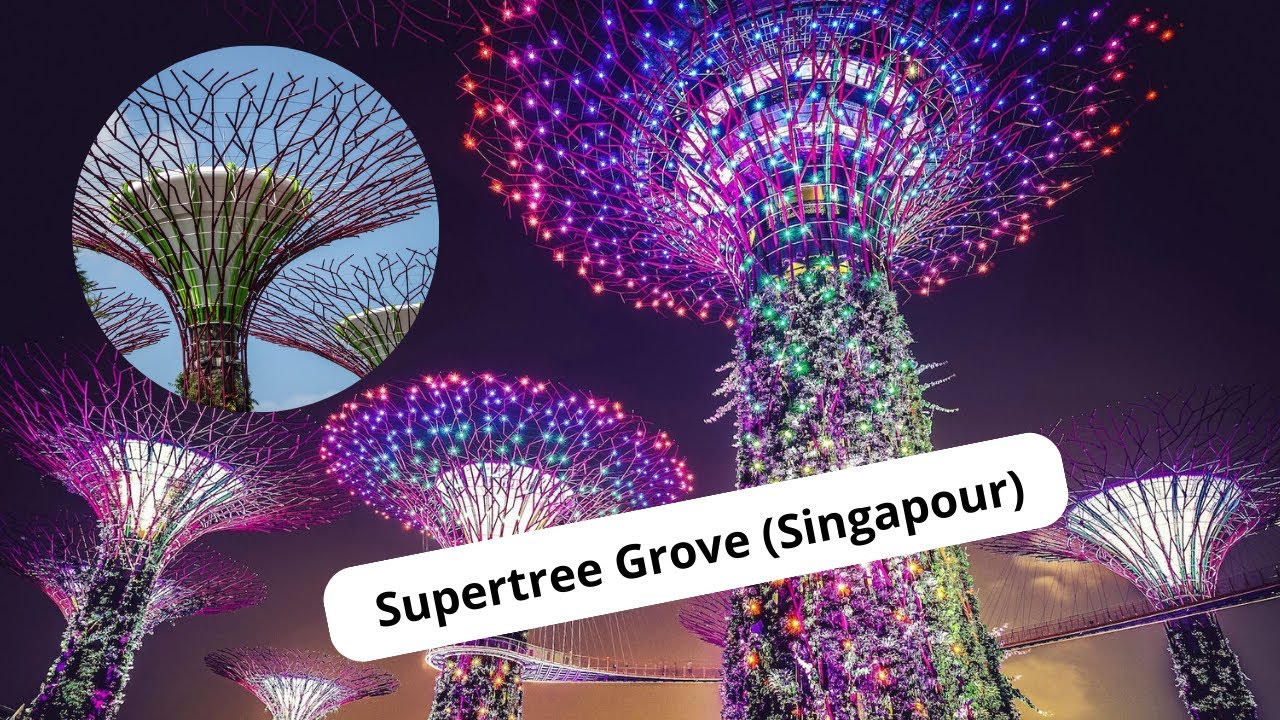 Splendeurs Verticales : Découvrir le Supertree Grove de Singapour - YouTube