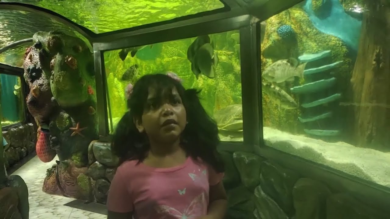 Radiant fish world cox's Bazar| Sea world| Sea aquarium| Marine life ...