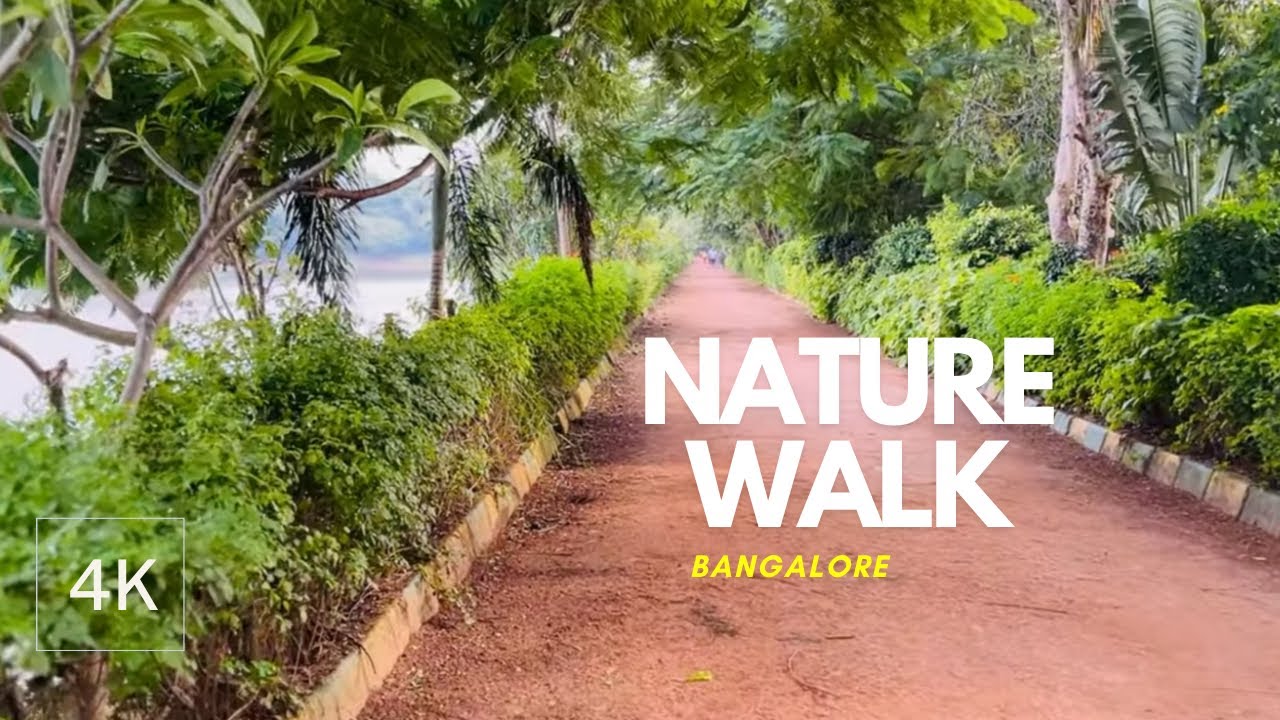 4K Nature Walk | Kowdenahalli Lake in Bangalore with Relaxing Nature ...