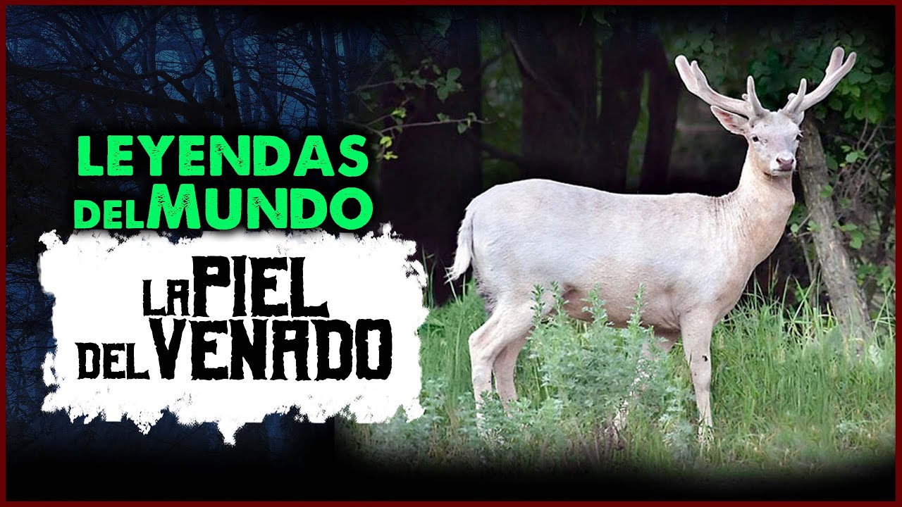 LA PIEL DEL VENADO 🦌🛡🗡 leyendas del mundo 🌐 / leyenda maya HISTORIAS DE ...