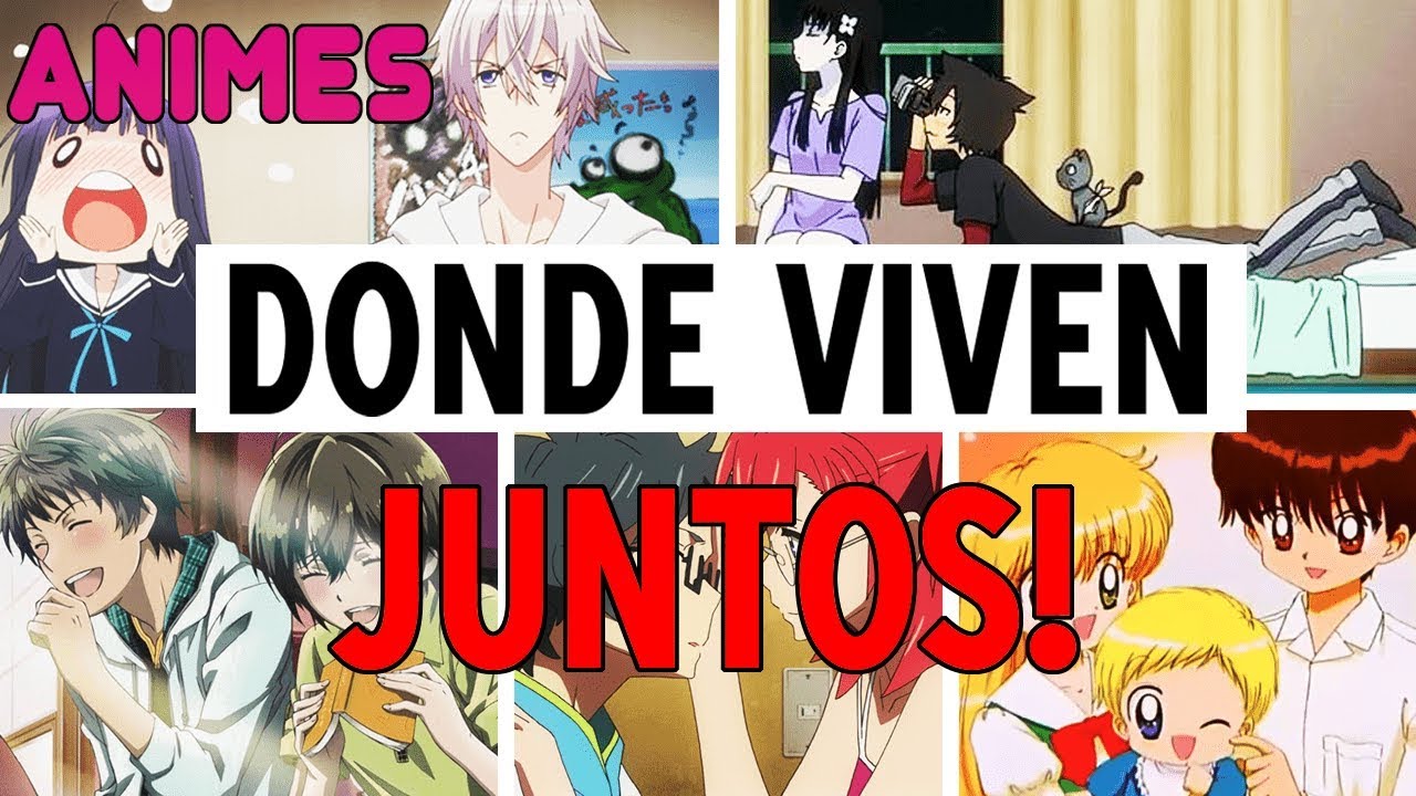 ANIMES DONDE LOS PROTAGONISTAS VIVEN JUNTOS! | TOP 20 ROMANCE - YouTube