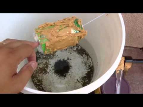 Mouse rat trap bucket - YouTube