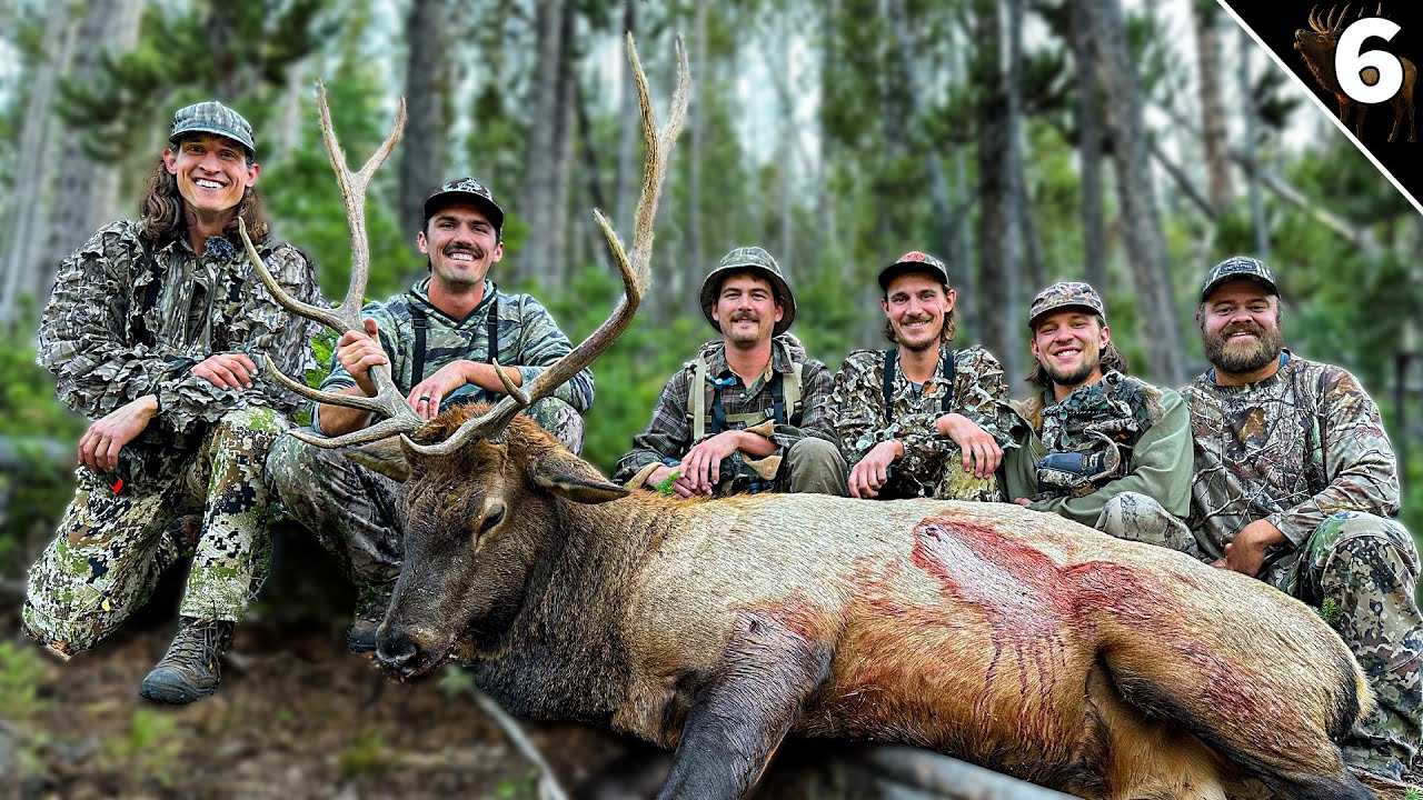Bull Elk with a BOW!!! - (Team Hunting on Public Land) - YouTube