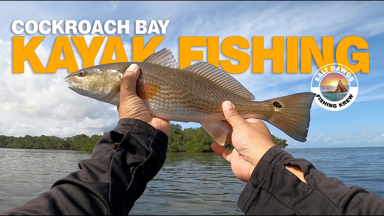 KAYAK FISHING AT COCKROACH BAY 4-21-24 - YouTube