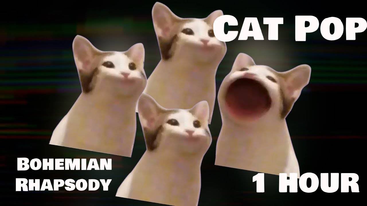 Cat Pop Bohemian Rhapsody - 1 HOUR - YouTube