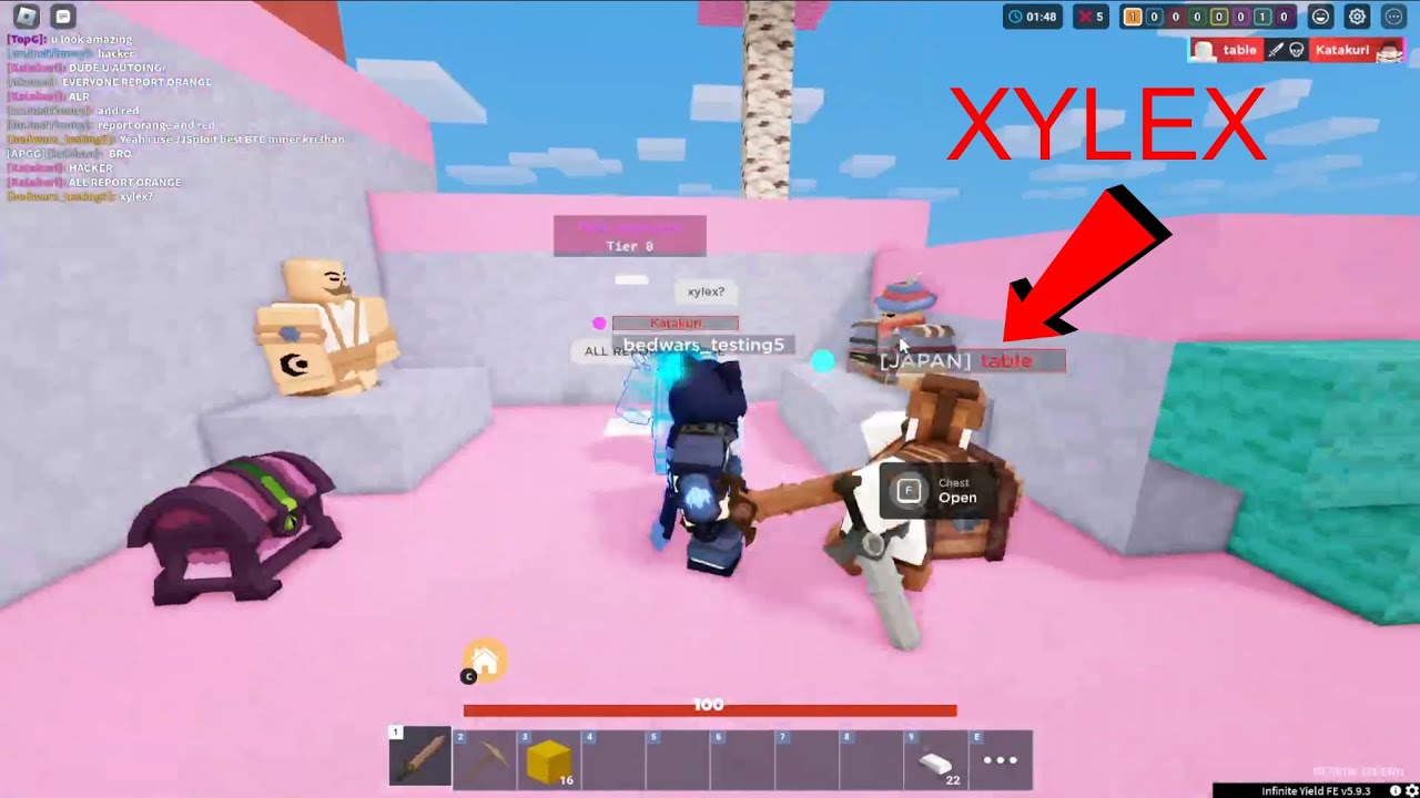 KILLING XYLEX | Bedwars AutoWin v4 - YouTube