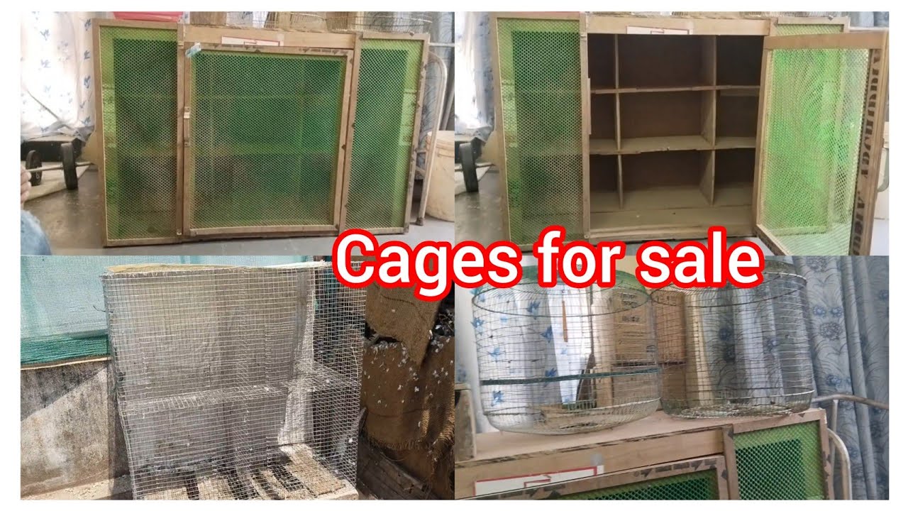 multiple cages available Hyderabad - YouTube