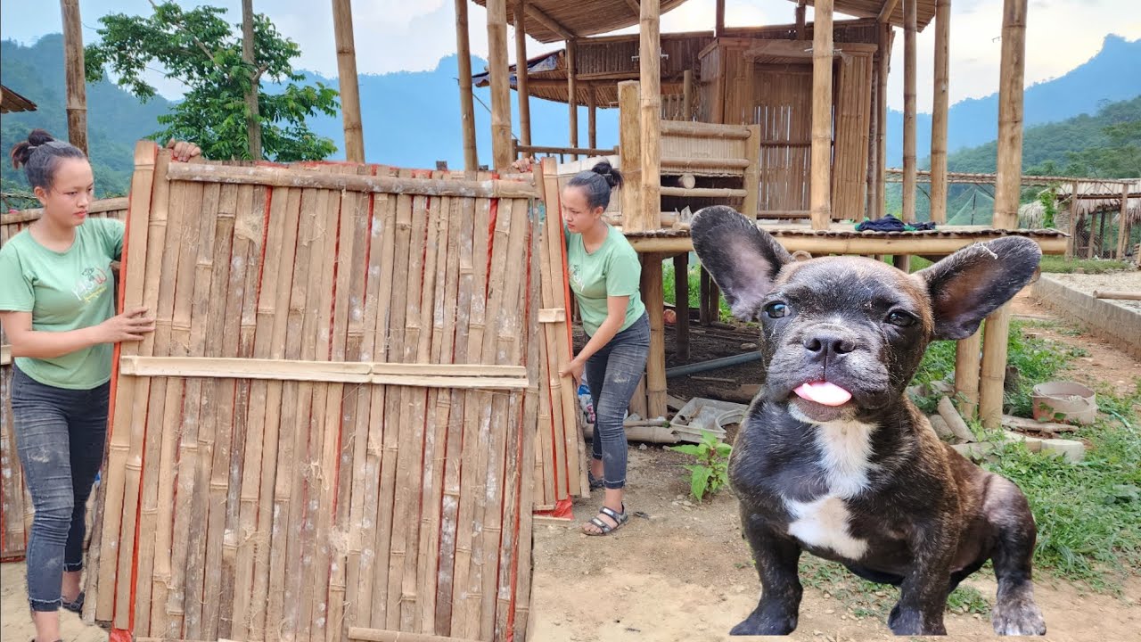 Remove rotting bamboo house,prepare to build a new wooden house-build ...