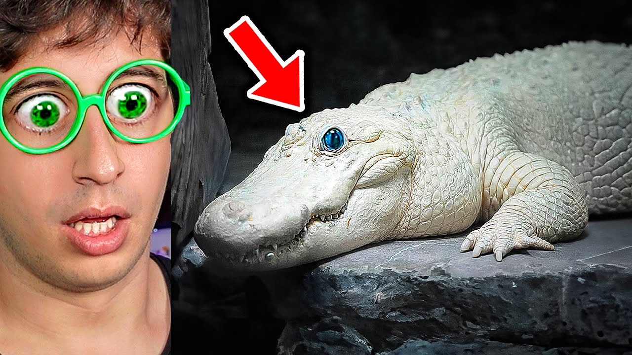 ESTE ANIMAL ES REAL 😨🐊!!! (Cosas que NO sabías hace 5 minutos) - YouTube