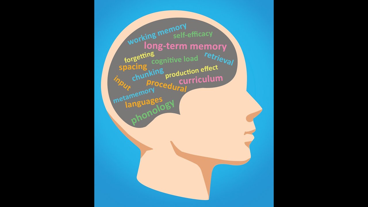 Memory: What Every Language Teacher Should Know - YouTube