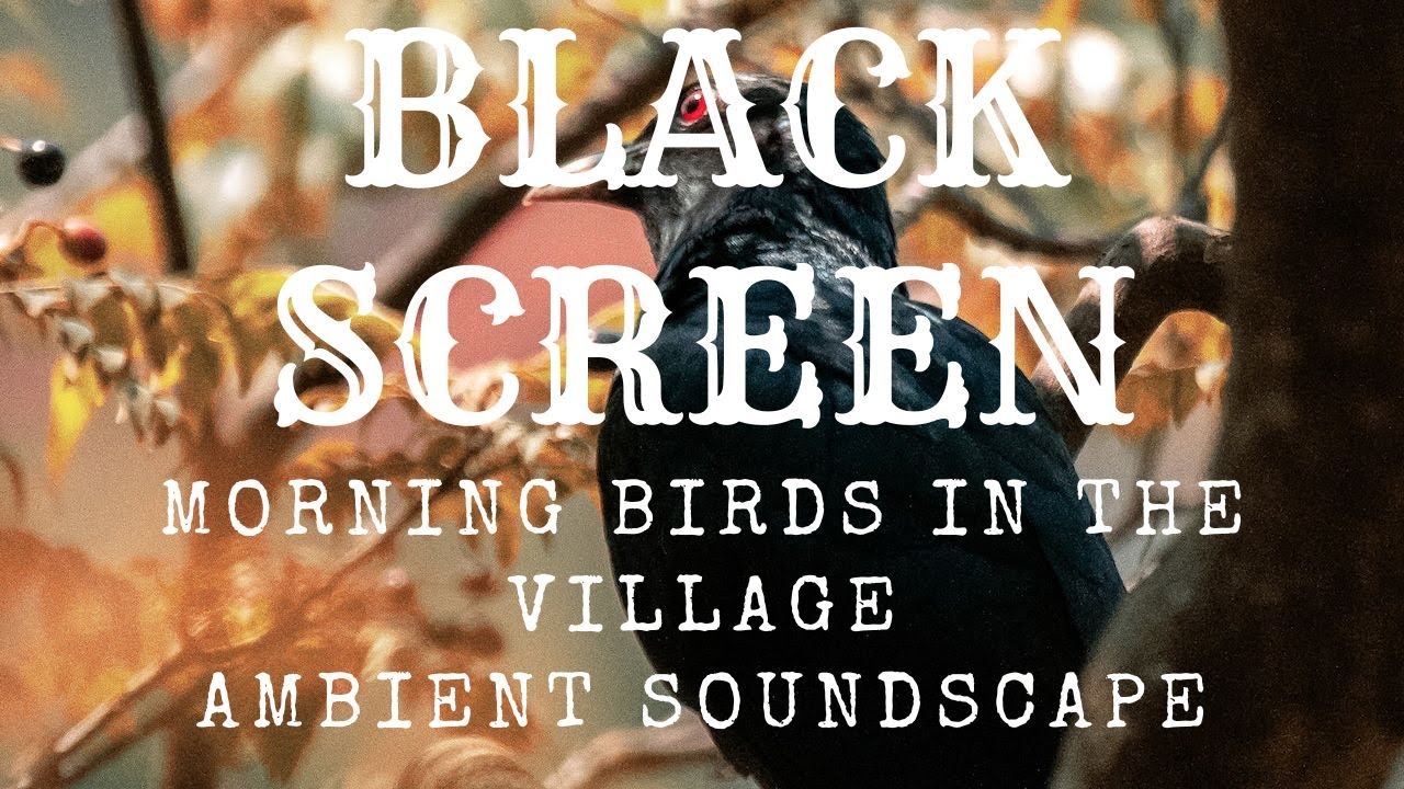 Morning Birds in the Village, 10-Hour Ambient Soundscape with Black ...