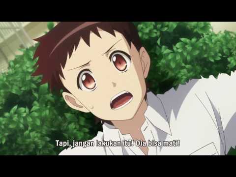 Tsugumomo episode 1 HD