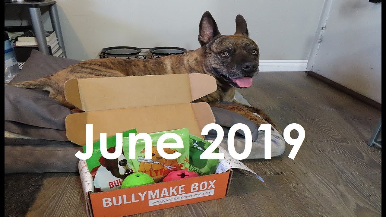 BullyMake Box Unboxing June 2019 - YouTube