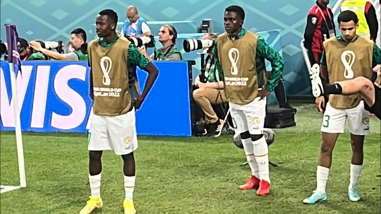 Sénégal fans world cup 2022 - YouTube
