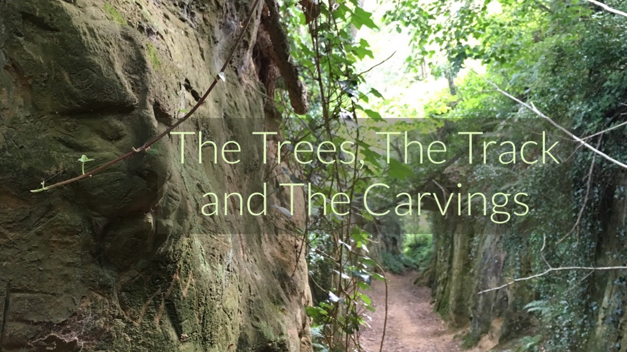 The Trees, The Track and The Carvings - a walk up ancient Hell Lane ...