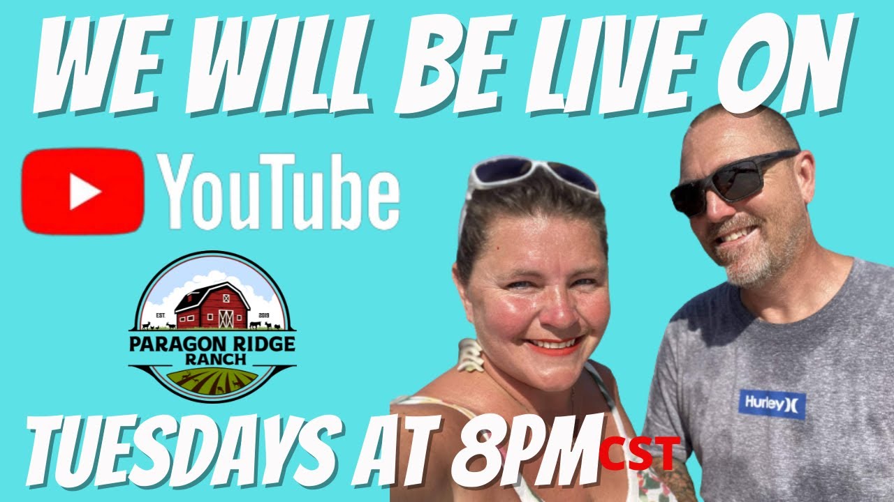 LIVE Stream with Paragon Ridge Ranch Tonight at 8pm cst! Come Chat With ...