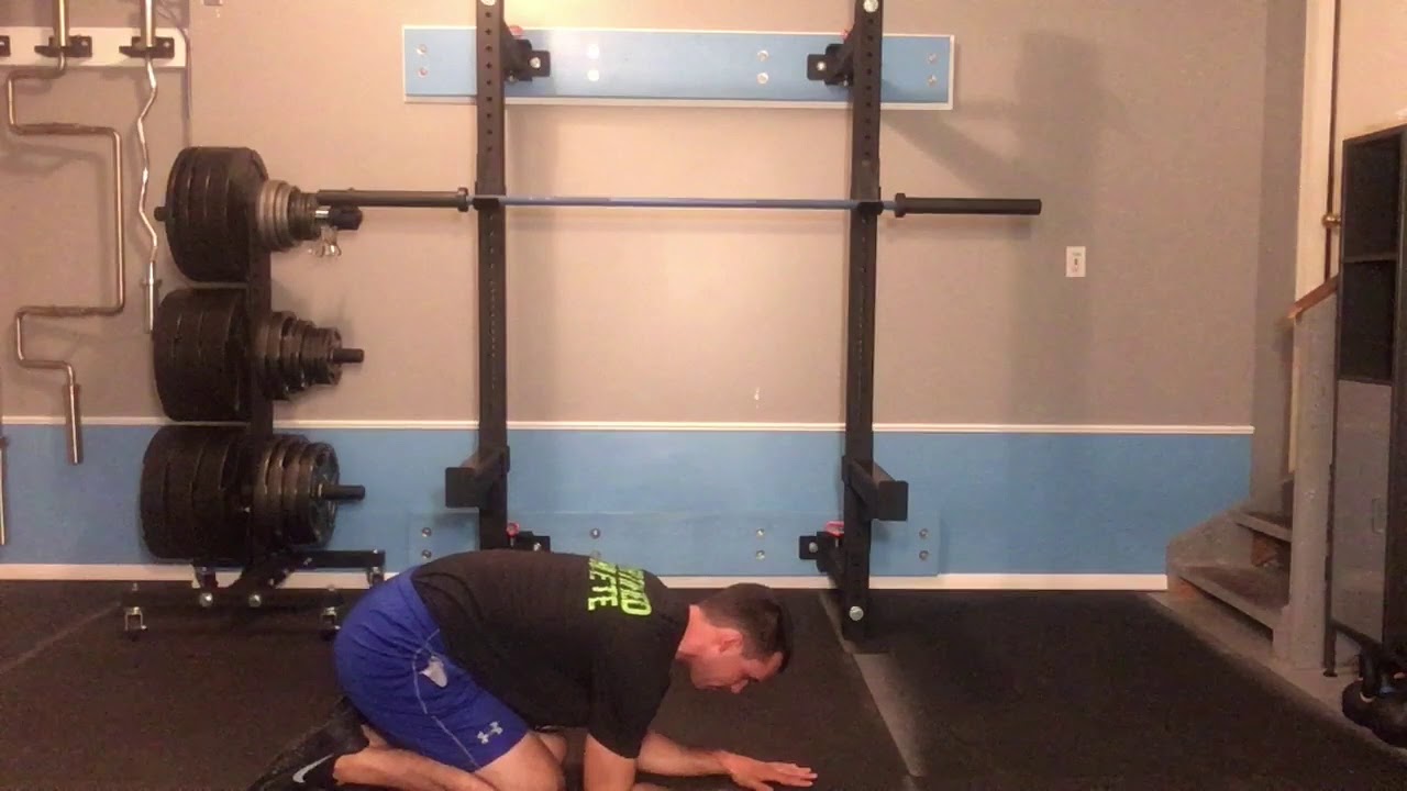 Quadruped One Arm Reach - YouTube