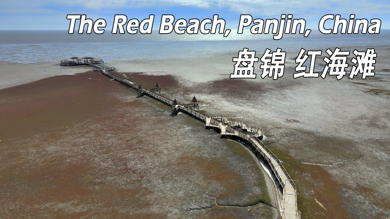 [4K] Panjin Red Beach: Exploring the Beauty of the northmost coastline ...